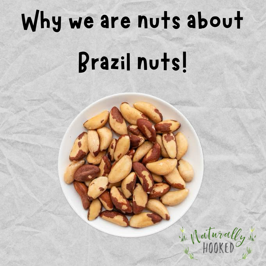Why we are nuts about Brazil nuts